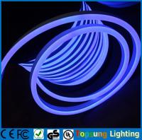 China festival decoration AC 110V flexible neon rope light 14*26mm IP67 soft tube light 120v for sale