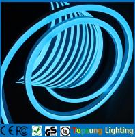 China festival decoration AC 110V flexible neon rope light 14*26mm IP67 soft tube light 120v for sale