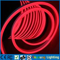 China festival decoration AC 110V flexible neon rope light 14*26mm IP67 soft tube light 120v for sale