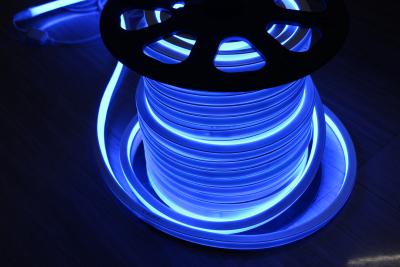 China shenzhen DC 24V flat flexible blue neon led16x16mm square shape for decoration for sale