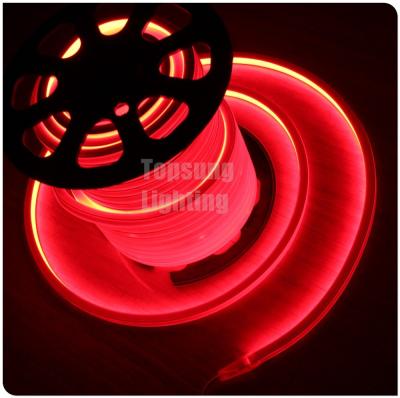 China Amazing bright 115v 16*16m red led neon tube light for sale