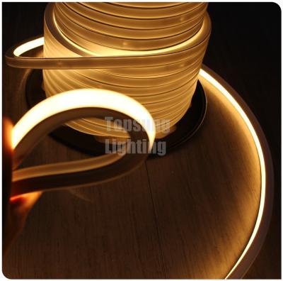 China China supplier DC 24V warm white decoration led neon flex 16x16mm square  flat neon rope IP68 for sale