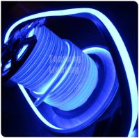 China smd 2835 promotional blue square led neon flexible light 16X16mm 12v for building for sale