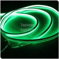 China 220v green 100leds/m square led neon flex light for activity decoration for sale