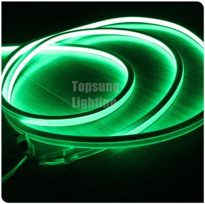 China 220v green 100leds/m square led neon flex light for activity decoration for sale