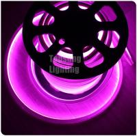China 2016 new pink square 12v 16*16m LED neon flex light for room for sale