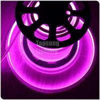 China high quality square led neon flex 12v purple pink rope lights  for engineering project application for sale