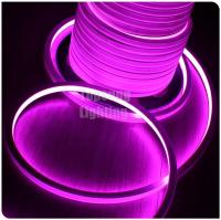 China Flat emitting 230v pink square 16*16m led lighting neon strip for garden for sale