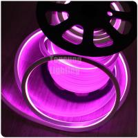 China Flat emitting 230v pink square 16*16m led lighting neon strip for garden for sale