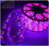 China 50m spool micro led strip 5050 waterproof 110V flexible ribbon RGB chasing light strips 60SMD/M for sale