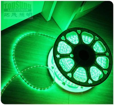 China Amazing 110V AC LED strip 5050 smd green 60LED/m  strip flexible led ribbon for sale