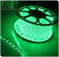 China Amazing 110V AC LED strip 5050 smd green 60LED/m  strip flexible led ribbon for sale