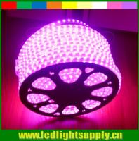 China 2017 new  AC LED 220V strip flexible led ribbon 5050 smd pink 60LED/m strip for sale