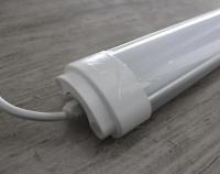 China High quality  3F tri-proof led light 30w with CE ROHS SAA approval waterproof ip65 for sale