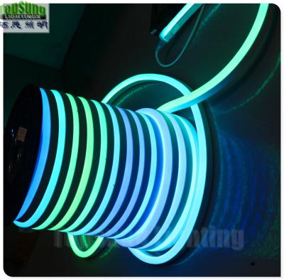 China outdoor lighted trains christmas 14*26mm digital led neon lights for sale
