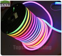 China wedding light outdoor decoration digital led neon flex light for sale