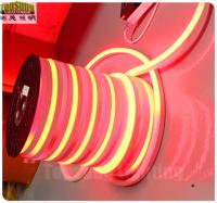 China IP68 led neon lights tube flexible dynamic digital tape for sale