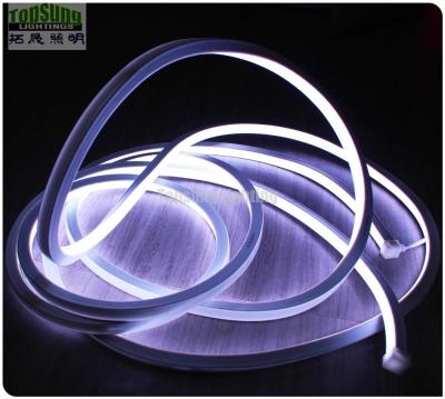 China super bright square 240v 16*16m neon flexible led light color RGB for sale