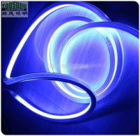 China high quality square 12v 16*16m LED neon flex light RGB for sale