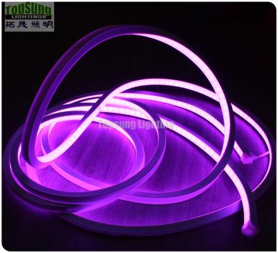 China high quality square 24v 16*16m LED neon flex light RGB for decoration for sale