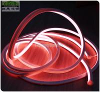 China high quality square 24v 16*16m LED neon flex light RGB for decoration for sale
