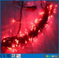 China Whole sale  127v white 100led twinkle Christmas string lights 10m outdoor for sale