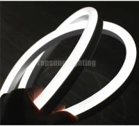 China 220V standard 14*26mm led neon flex light for christmas decoration for sale
