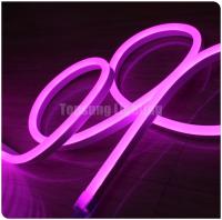 China 220V standard 14*26mm led neon flex light for christmas decoration for sale