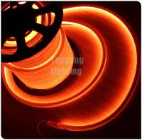 China Waterproof Tube Neon Lamp Sign square Led Neon Flexible 12v High Quality Landscape Lights For Bar for sale
