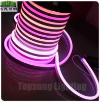 China 14*26mm rgb digita led neon flex decorative lights for christmas for sale