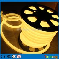 China 25meter spool 12V DC 360 degree round warm white led flex neon lights for letter for sale