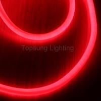 China 2016 new red 360 neon 100 led 24v for sale