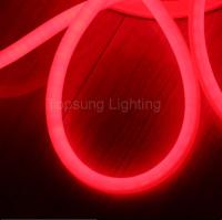China 2016 new red 360 neon 100 led 24v for sale