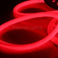 China 2016 new red 360 neon 100 led 24v for sale