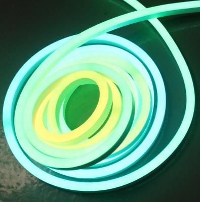 China led neon pixel light SPI digital Neon Flex Rope dynamic chasing for sale