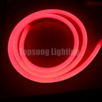 China Magic rgb led neon lights 24v digital christmas lights flexible led neon tube for sale