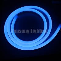 China Magic rgb led neon lights 24v digital christmas lights flexible led neon tube for sale