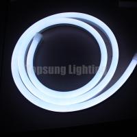 China christmas dynamic flexible neon rope tube dome surface led pixel flex 24V for sale