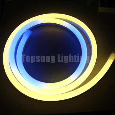 China Christmas decoration digital led neon flex lights strip waterproof outdoor decoration for sale