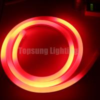 China 24V 14*26mm low power digital color changing led neon flex light for sale