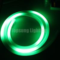 China 24V 14*26mm low power digital color changing led neon flex light for sale