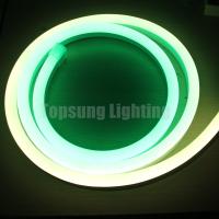 China color changing led christmas lights 14*26mm digital rope lights for sale