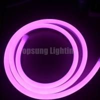 China 24v digital rgb led neon flex chasing strip 5050 SPI programmable lights for sale