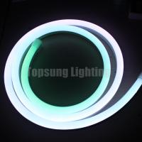 China 24V 14*26mm low power digital color changing led neon flex light for sale