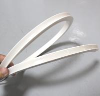 China programmable rgbw 4 chip color changing led neon rope flexible strip 24v top-view square 17x17mm for sale