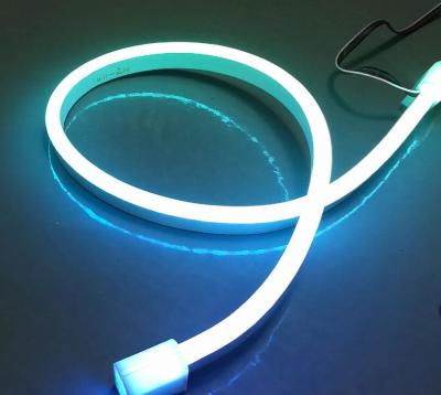 China 24V PVC high quality led neon 5050 RGBW neon tube lightings strip for sale