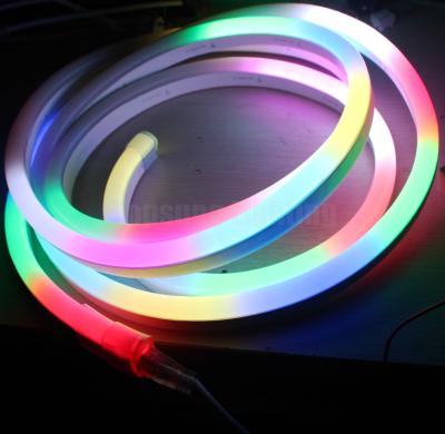China 14*26mm clear lights festival led lighting digital neon light with low volt for sale