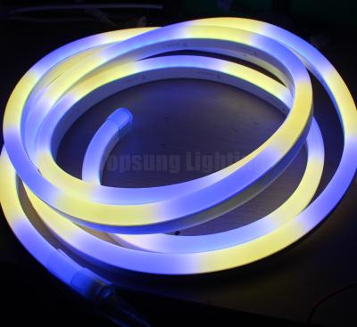 China 24v waterproof IP65 led neon 14*26mm digital neon rope lights for sale