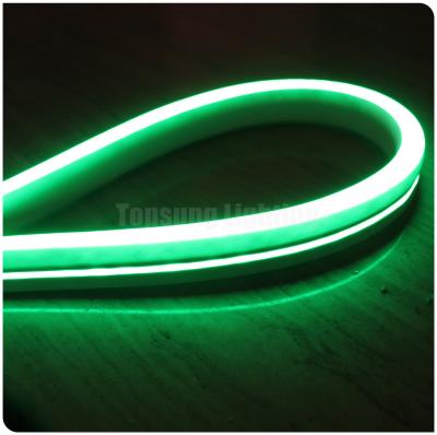 China Mini led Flex neon 12V for bridge architecture swimming pool light flat 11x19mm neon-flex for sale
