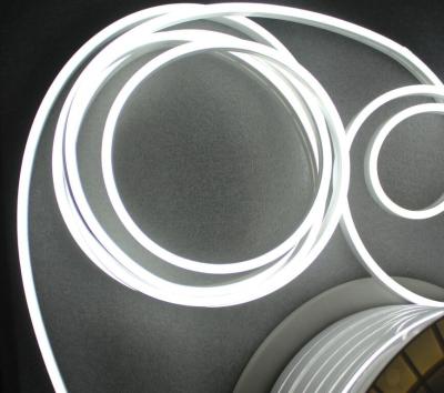 China 24v 6mm mini neon flexible led strips lights 2835 smd silicone coating ribbon white for sale
